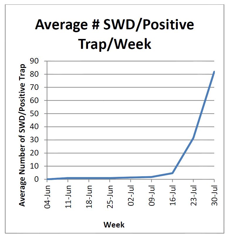 Spotted Wing Drosophila (SWD) Update – July 29, 2016 – ONfruit