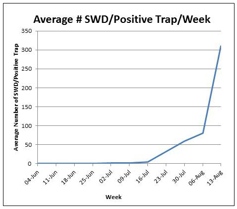 Spotted Wing Drosophila (SWD) update August 11, 2016 – ONfruit