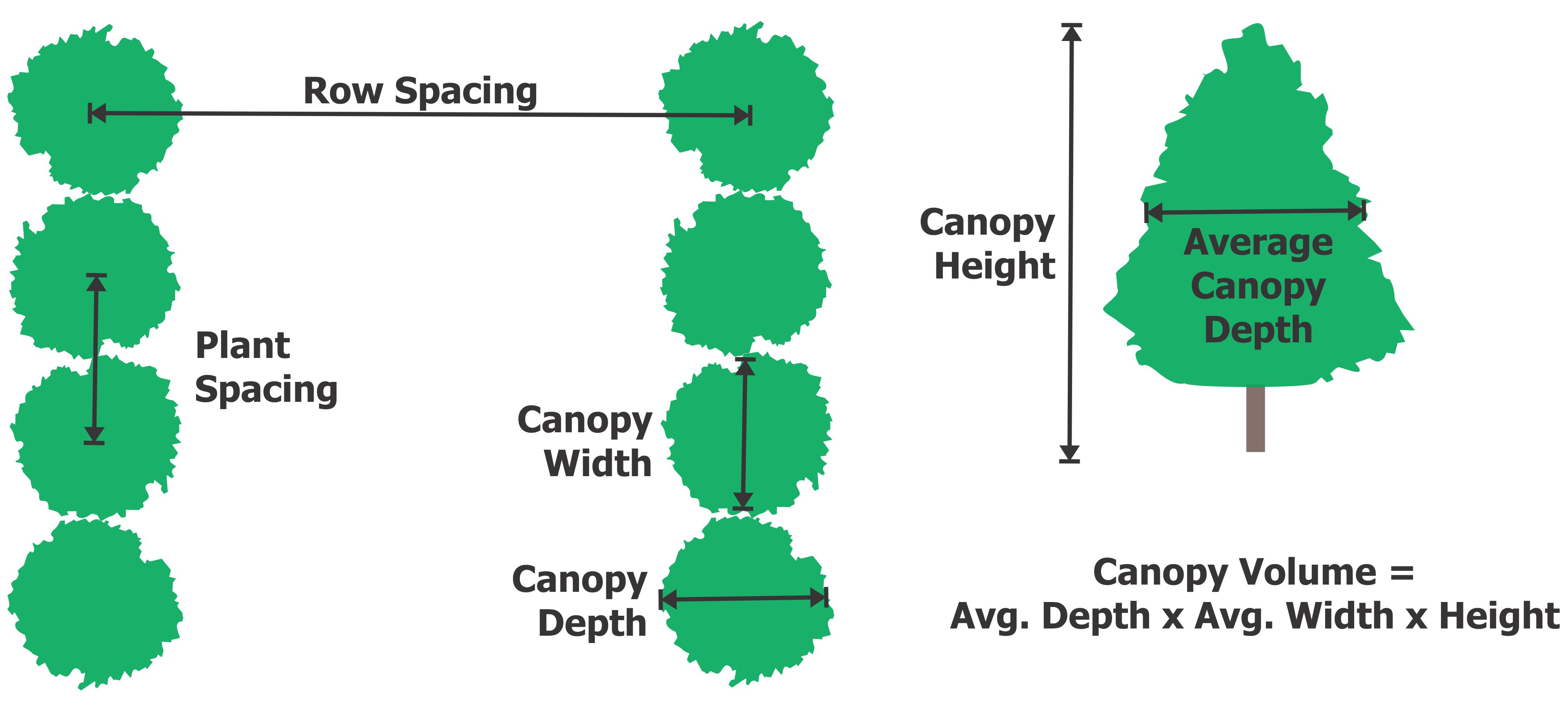 Deveau Fig 1 2020_Canopy_Geometry_v2 – ONfruit